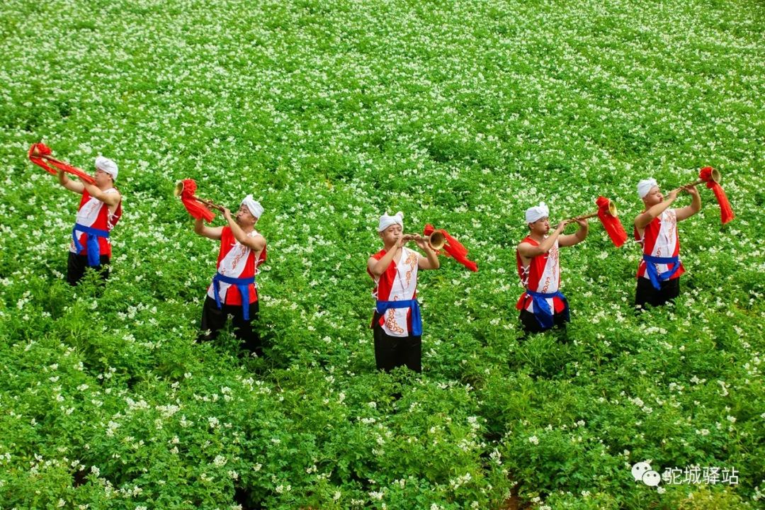 The 10,000 mu potato flower sea in Yulin is so beautiful!Go to check in ...