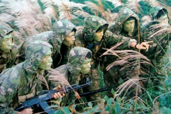 In Operation Black Panther in 1986, 31 special forces members received ...