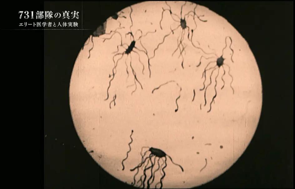 Counting down the cruel experiments of Japanese Unit 731, hundreds of ...