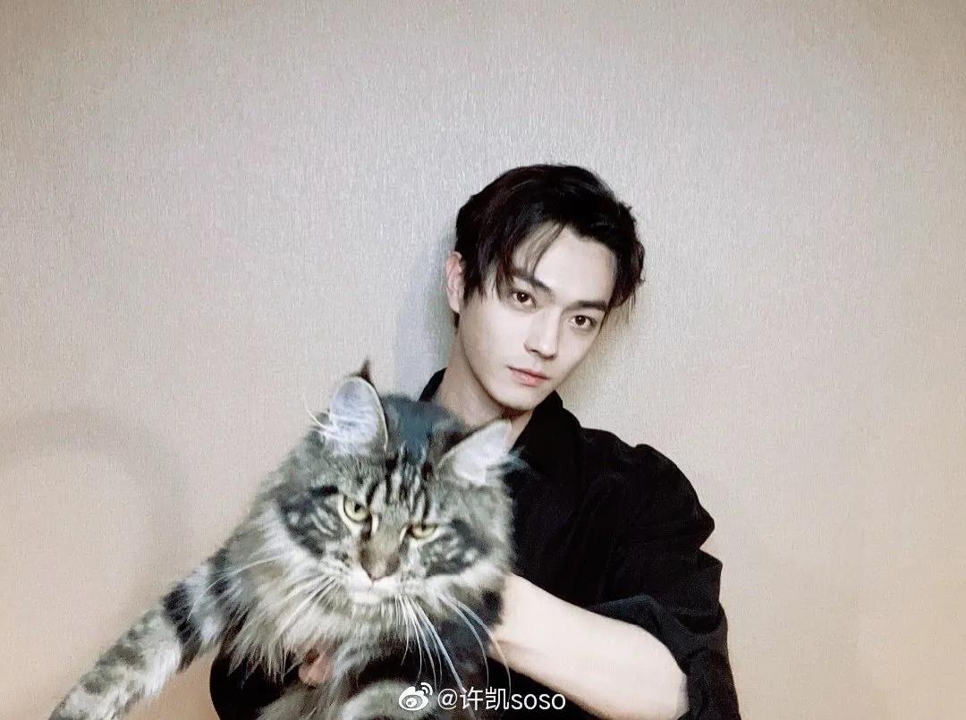 Xiao Ba broke the news: Xu Kai, Cheng Yi, Yang Mi, Wang Yibo - iNEWS