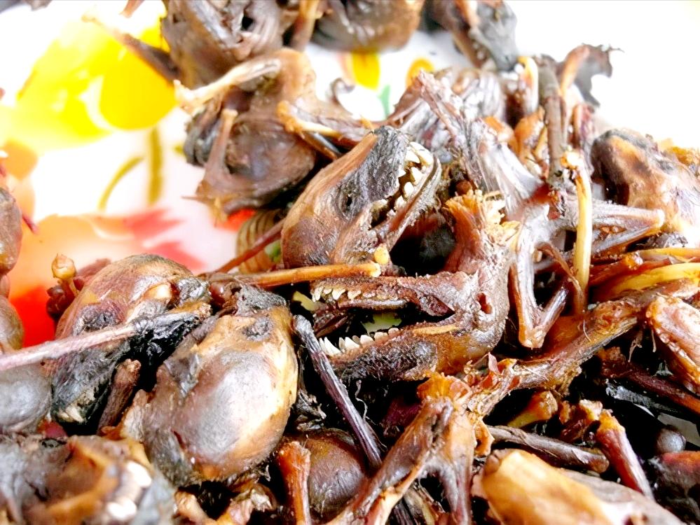 Too long?Dare to eat bat meat that carries more than 90 deadly viruses ...