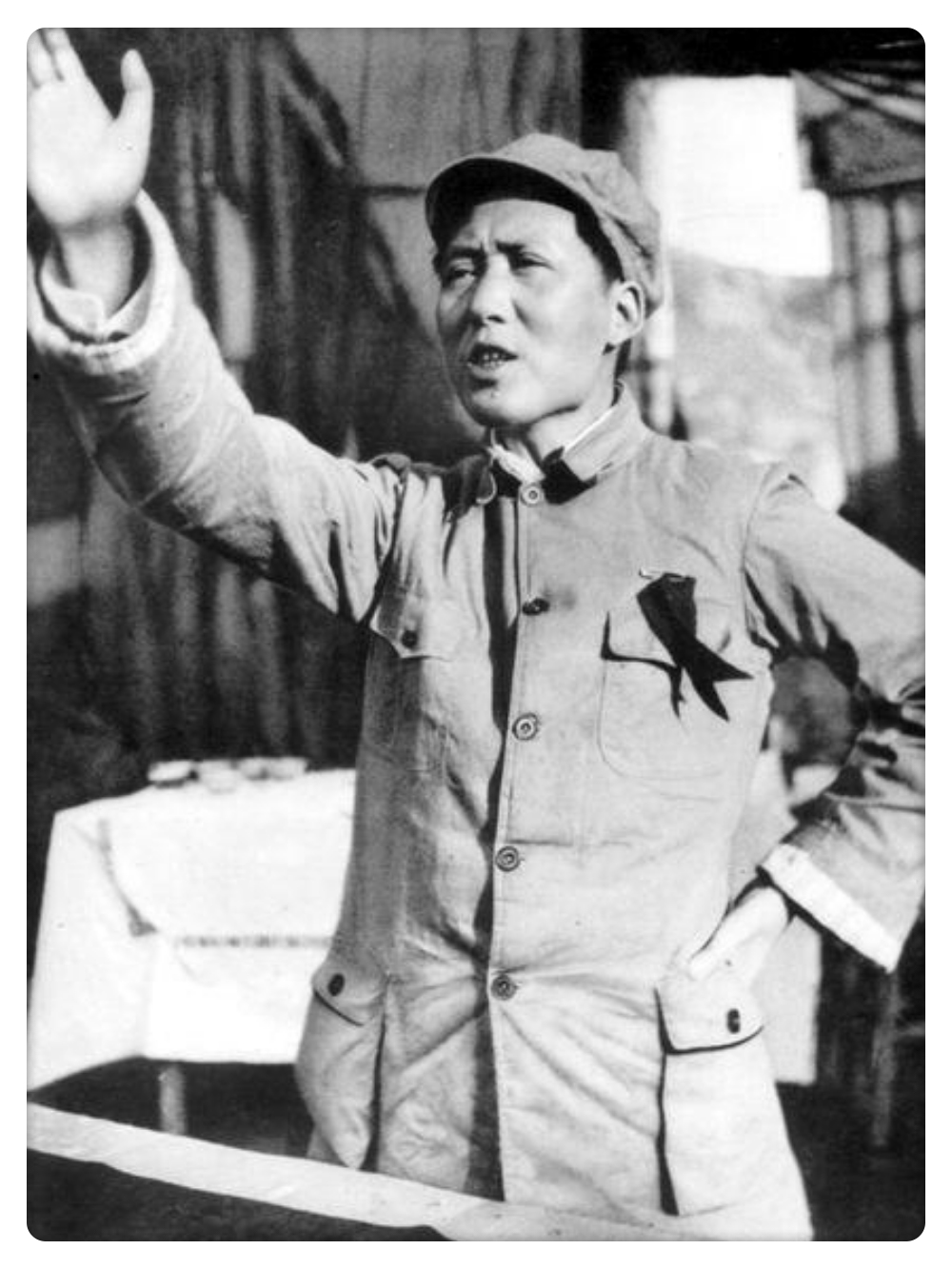 "The Biography of Mao Zedong": In the east of the world, his career ...