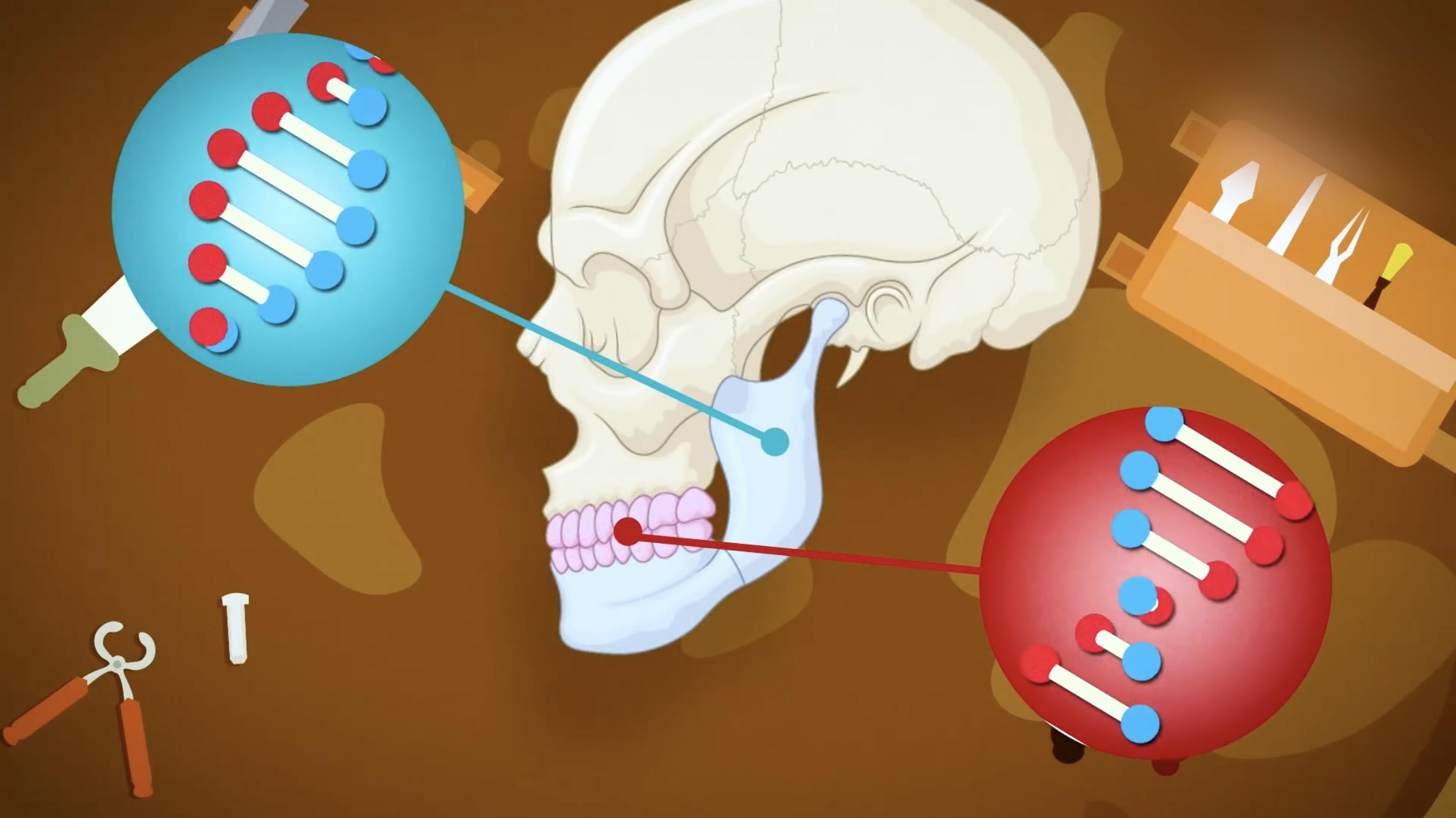 How was the first human being born? - iNEWS