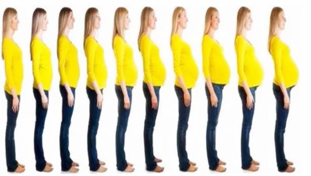 If you are in these three “body types” after pregnancy, it means the ...