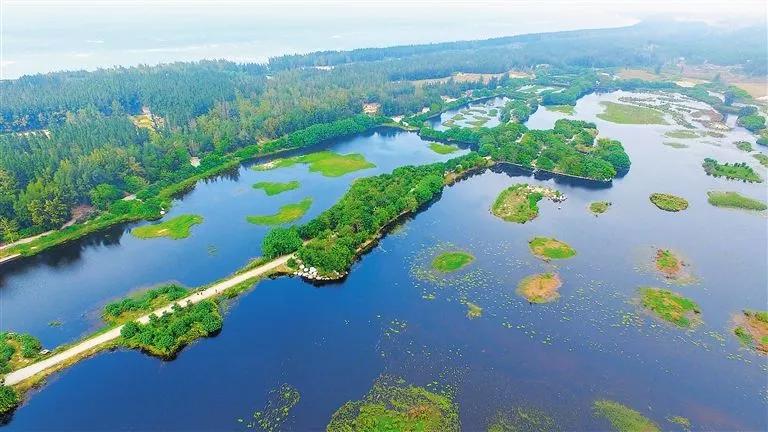 Haiwei Wetland Park, the top ten scenic spots in Changjiang: the ...