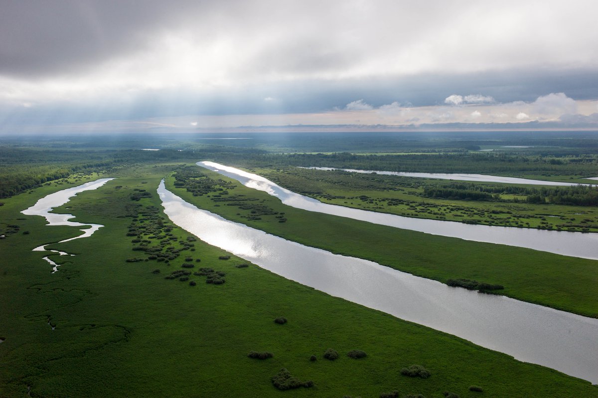 Russia's largest swamp, it turns out that there is such a beautiful ...