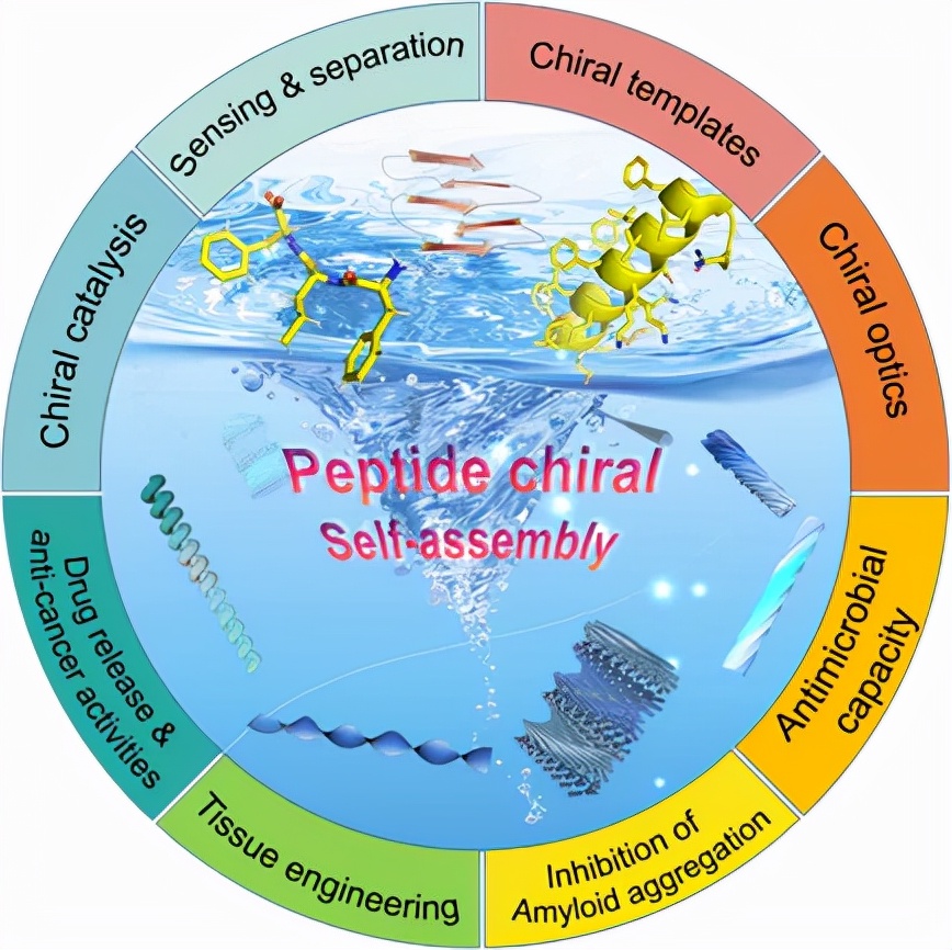 Chiral self-assembly of peptide molecules to design supramolecular ...