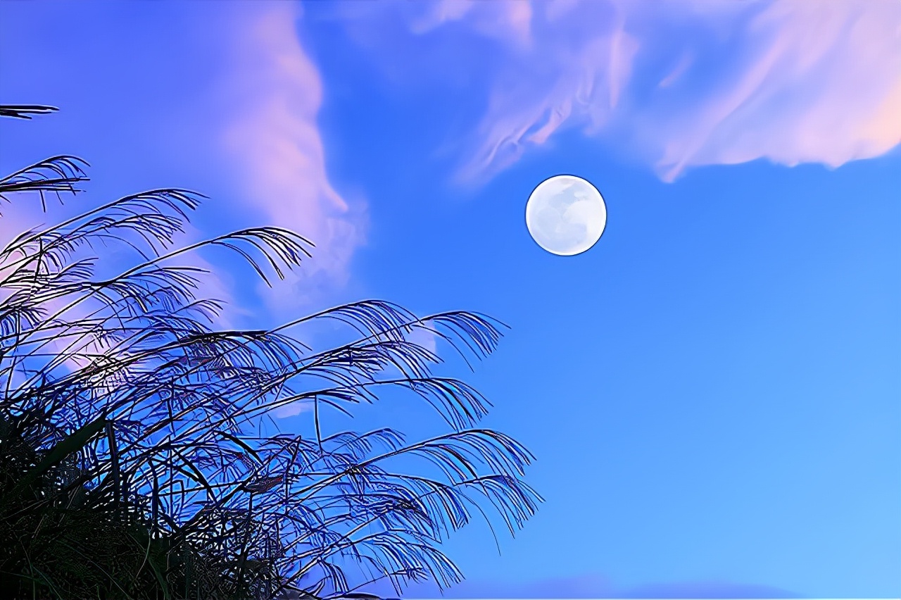 Sacrifice to the moon, admire the moon, and worship the moon: How many ...