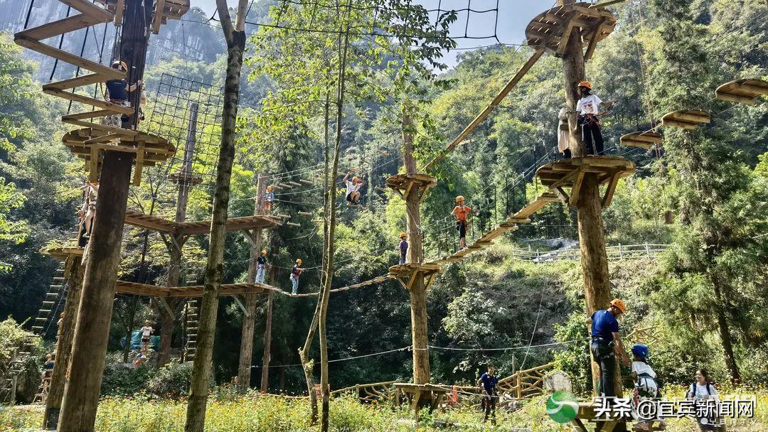 Panda camping, net celebrity pandas, lava in the heart of the earth ...