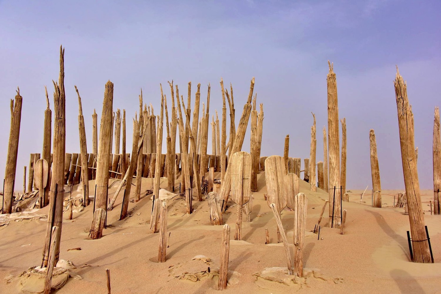 A century-old archaeological discovery in the Lop Nur Desert-Xiaohe ...