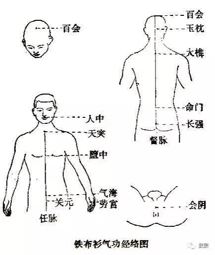 Taoist Longmen Iron Cloth (All) - iNEWS