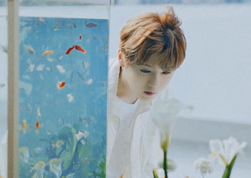 32-year-old Lu Han starred in Deng Ziqi's new song MV, every frame is ...