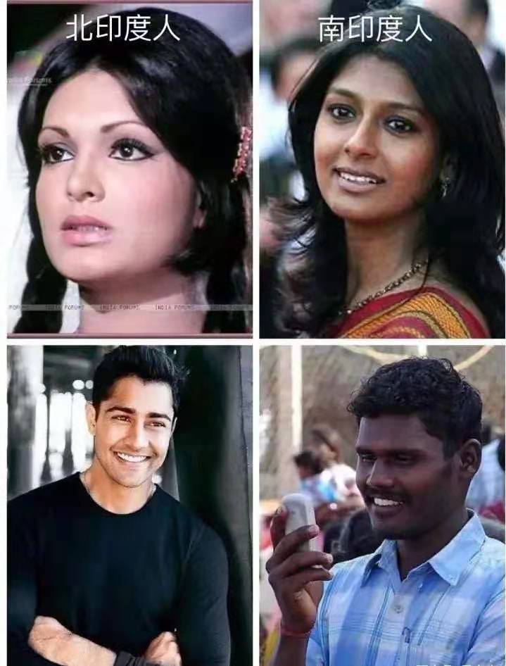 What is the cultural difference between North India and South India? What is the difference ...