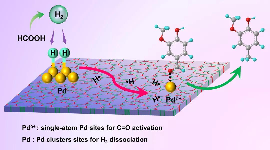 Pd single-atom cluster catalysts synergistically efficiently catalyze ...