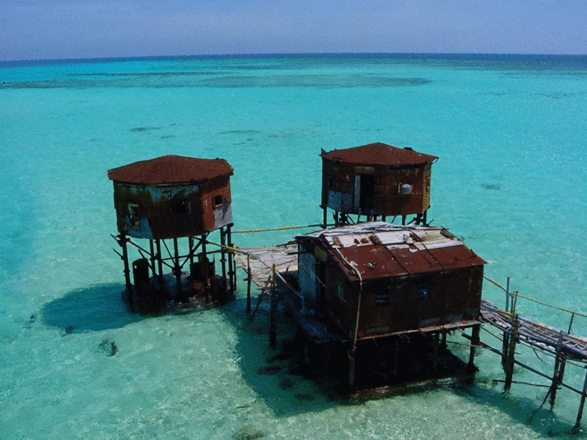 Meiji Reef: How to get from the unanimous reef gorgeous into the first ...