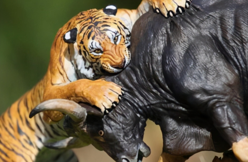 Bengal tiger and reticulated python fight, who can be better? - iNEWS