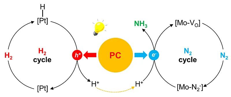 Regulating active sites and hydrogen overflow to promote room ...