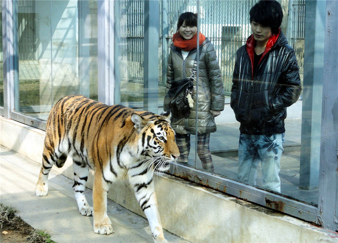 The truth about Laohu Valley: What happened to the two South China ...