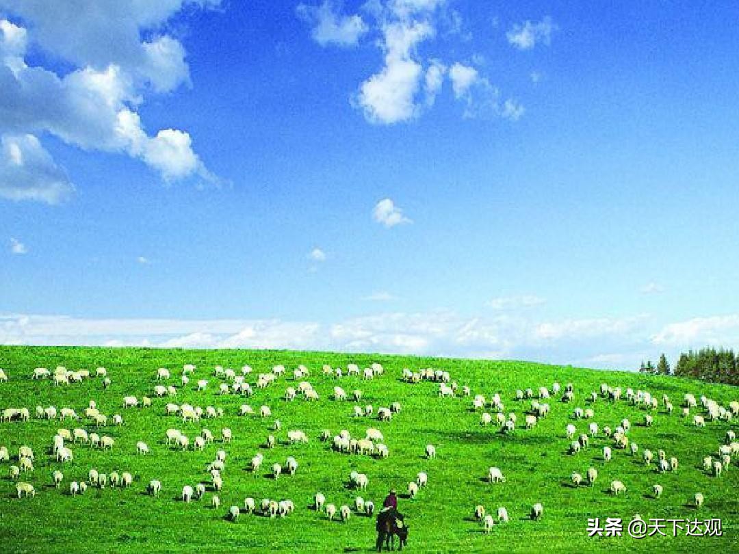 Also known as Dingling, Gaoche, Uyghur, in the middle of the 4th ...