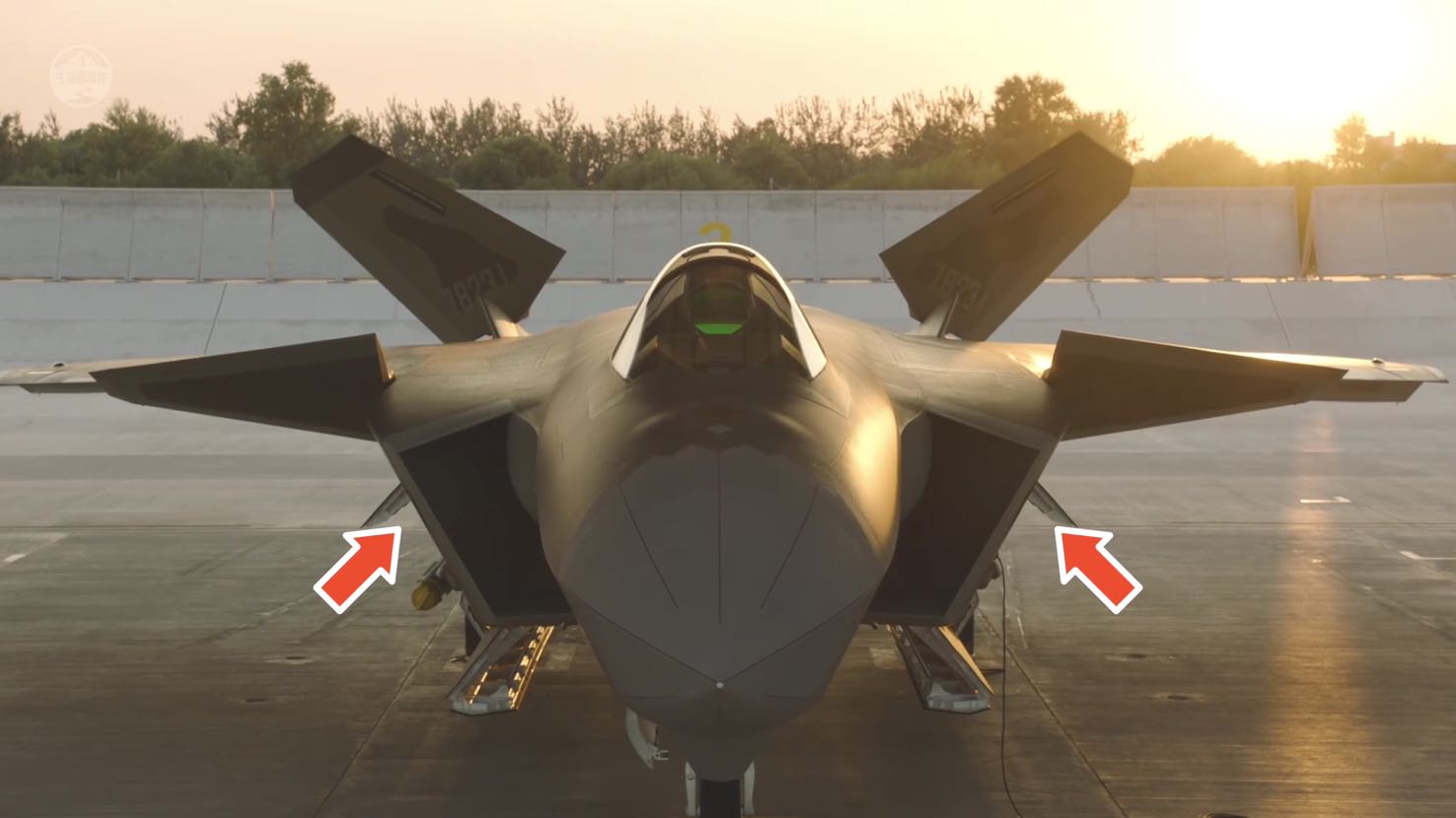 Cheetah: The fastest predator on the surface, but the surface scenery ...