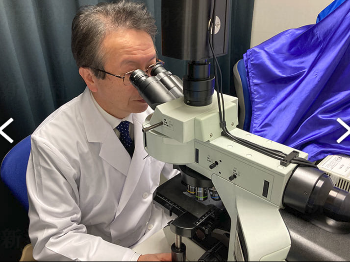 Japan discovers a new type of treatment for "pancreatic cancer" that ...