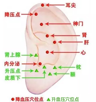 There is a kidney switch on the ears. Pulling the ears for a minute ...