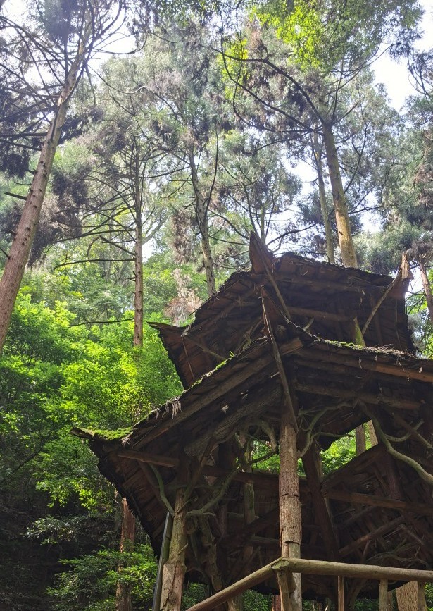 Slowly tour the Tianshi Cave of Mount Qingcheng - iNEWS