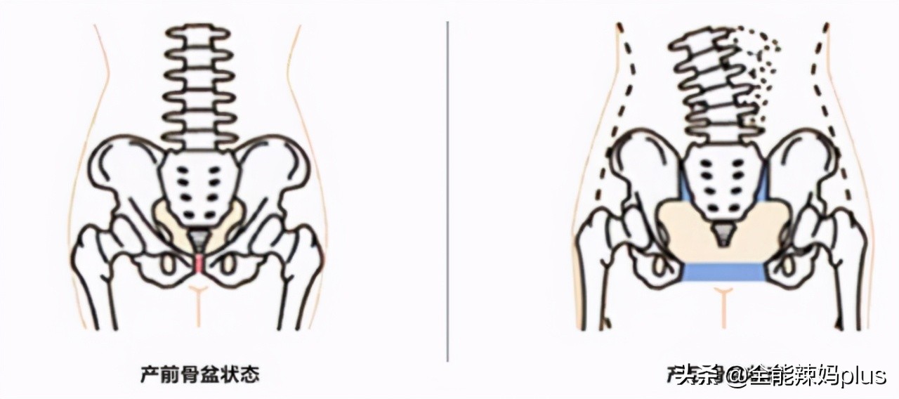 What is the difference between "women's crotch" and "girl crotch"?Look ...