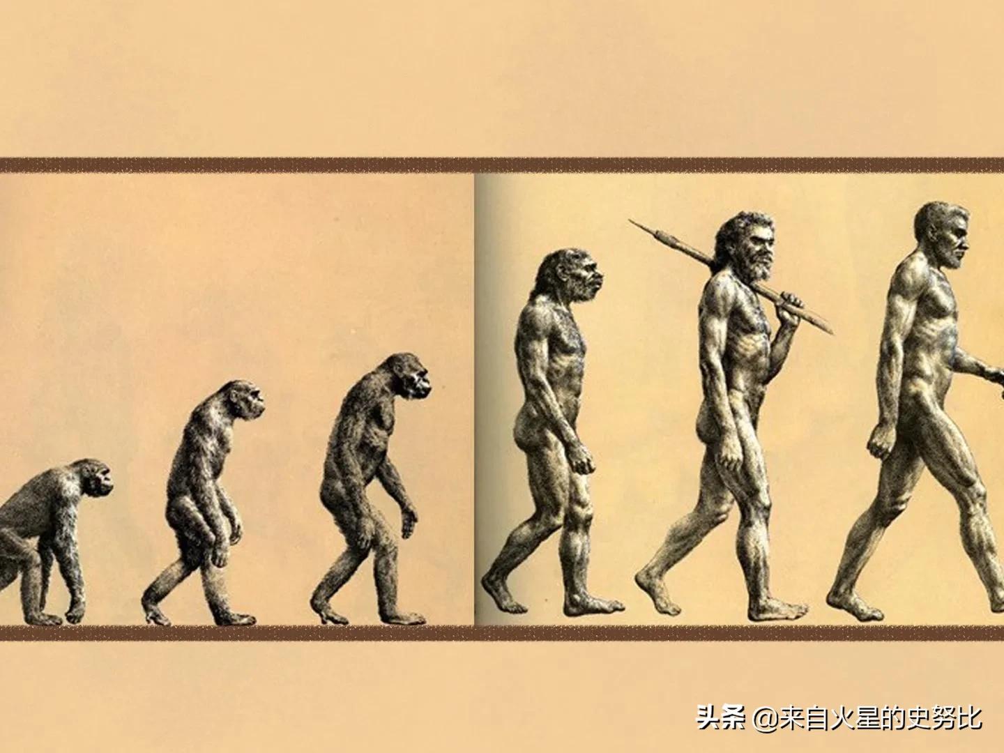 Where do humans come from?Why is the theory of evolution not suitable ...