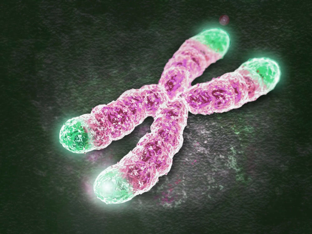 How old can humans live at most? - iNEWS