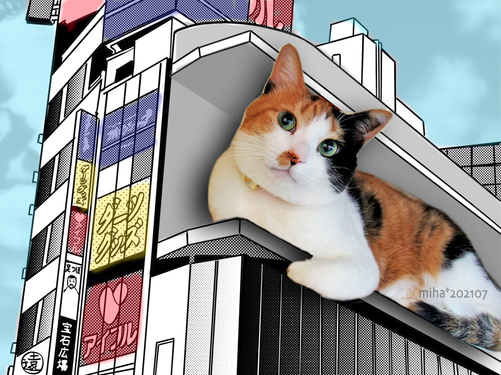 Shinjuku 3D cat "cat swap event", Luo Xiaohei joins the Japanese fandom ...