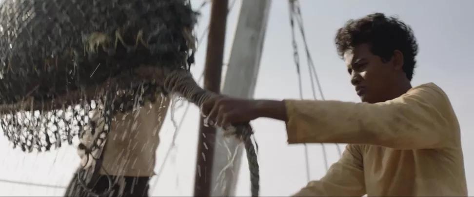 Half a cup of white rice a day, bones on the bottom of the sea are ...