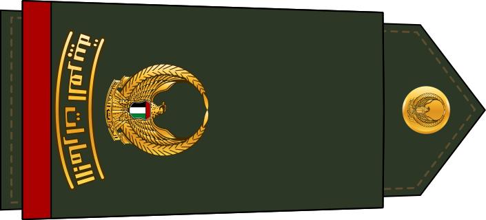 Military rank identification of each country: UAE - iNEWS