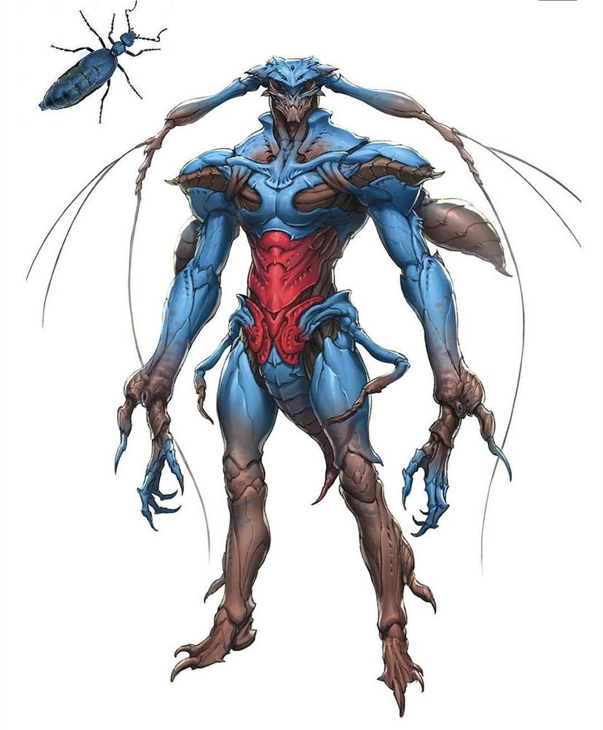 If insects can also evolve into the appearance of humans, without ...