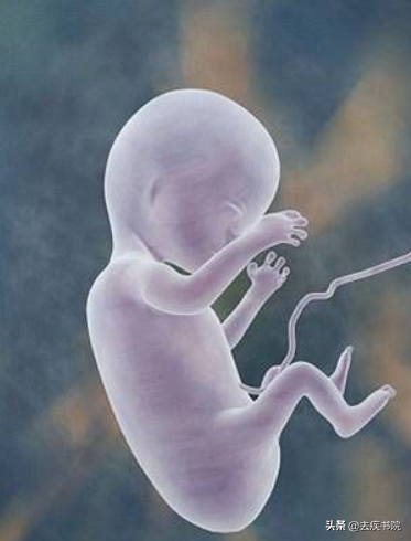 Why can't surrogacy be legalized? Look at the Zheng Shuang incident ...