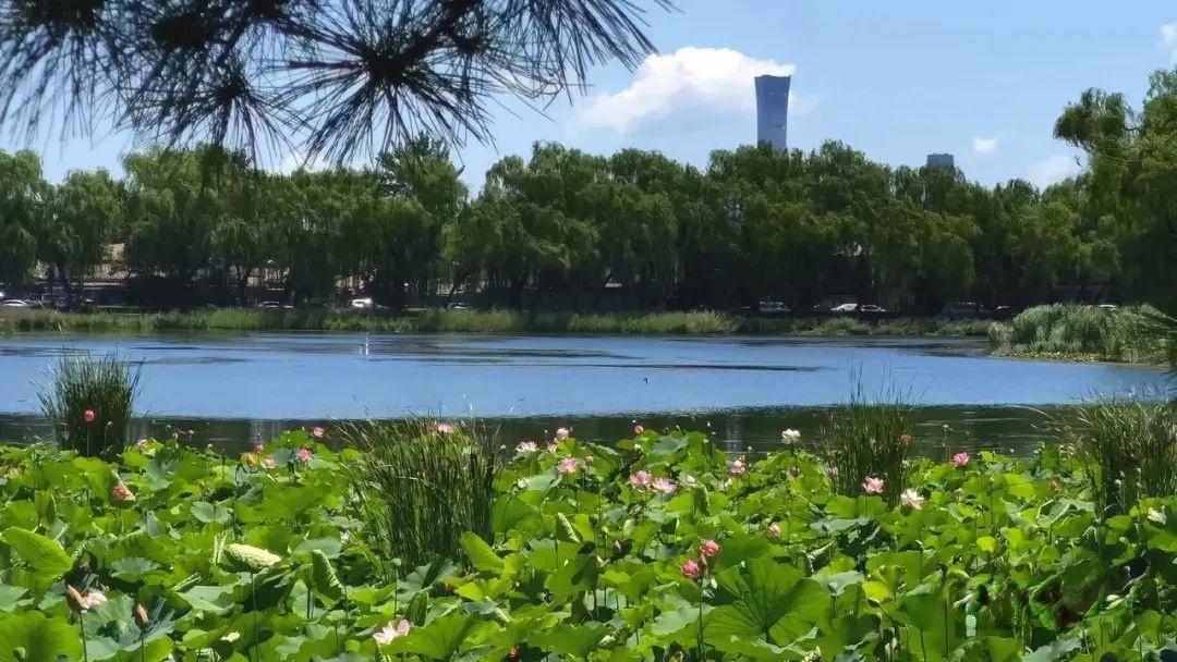 What?Beijing-Xihai is such a beautiful place, you still don't know? - iNEWS
