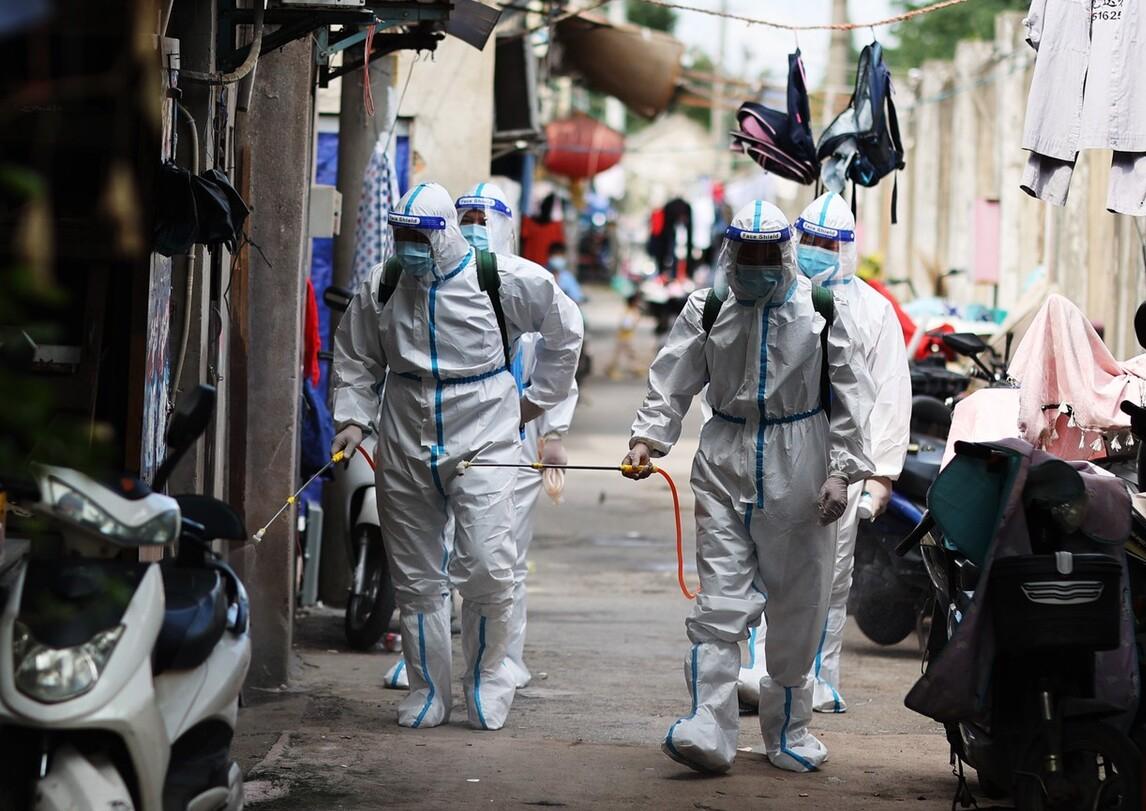 What is anthracnose?Why is it used as a biological and chemical weapon ...