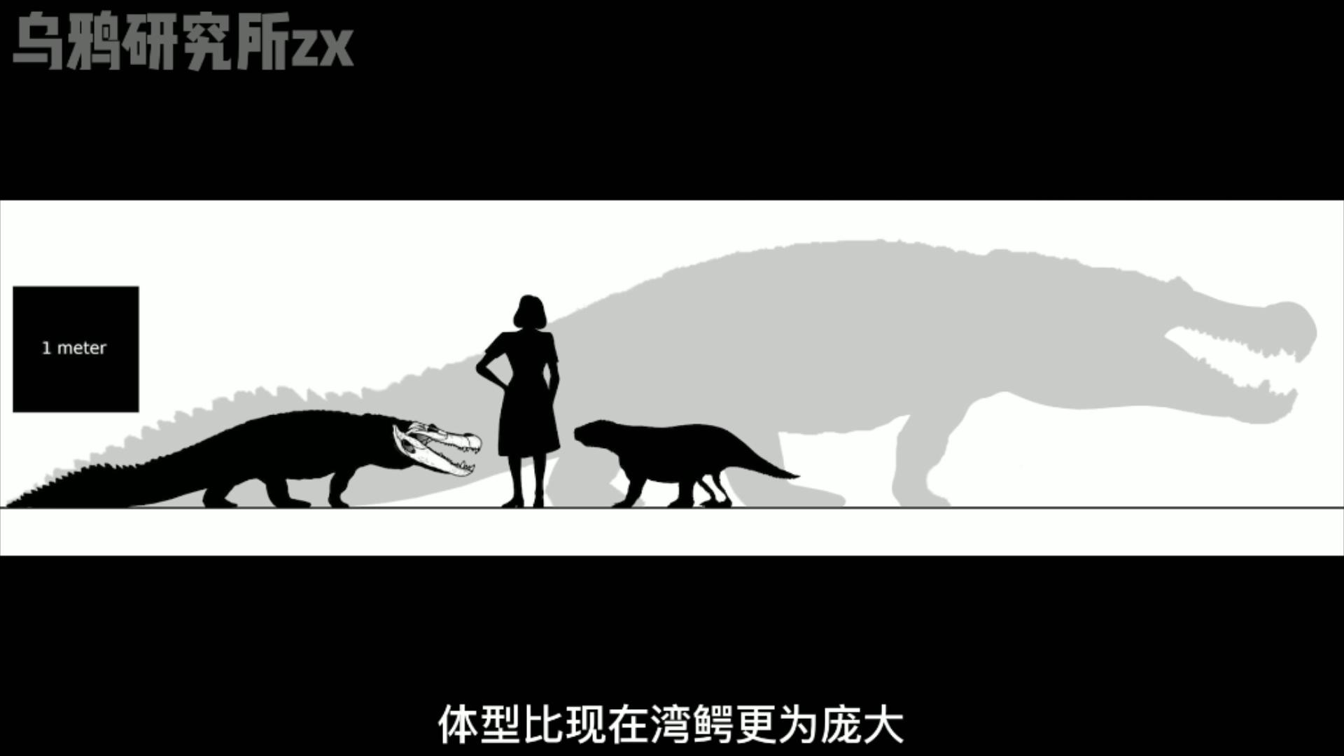 Three giant prehistoric crocodile, who is the king of crocodile - iNEWS
