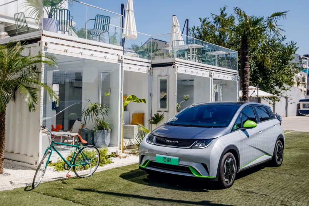 Test drive the BYD Dolphin designed by ocean aesthetics as "smart and ...