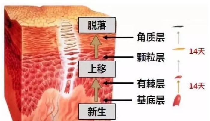 There are red blood streaks on the skin, you must pay attention to ...