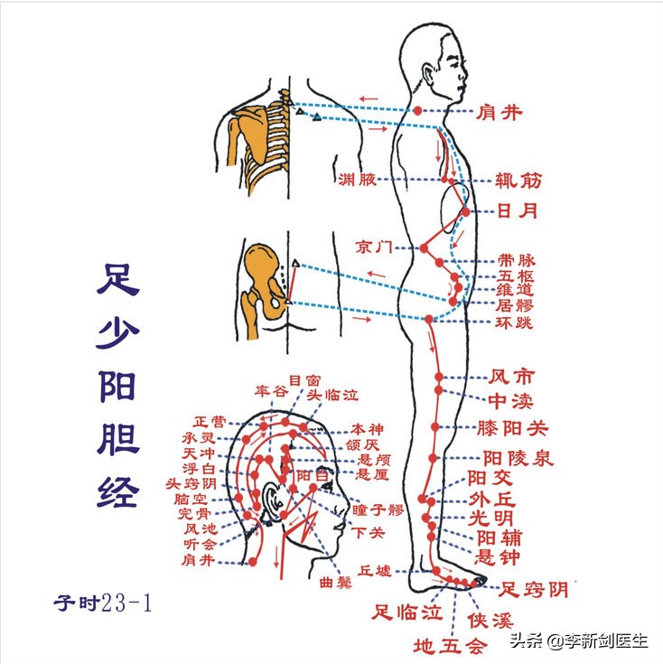 Acupoint Code-Fengchi Point - iNEWS