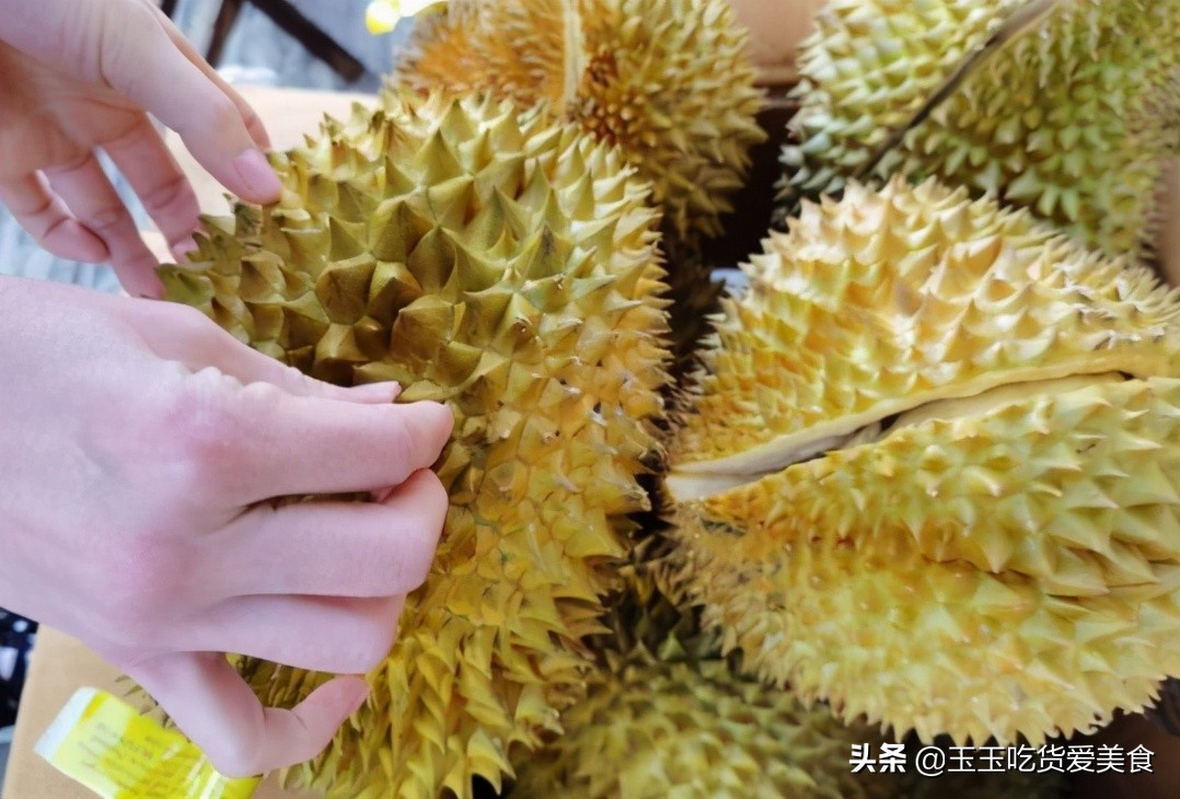 Don't rely on luck when buying durians, master this technique, and let ...