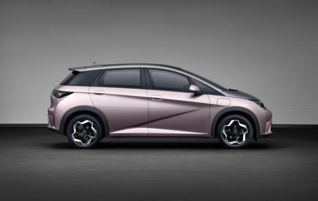 The look is very Q and cute, BYD Dolphin official photo released - iNEWS
