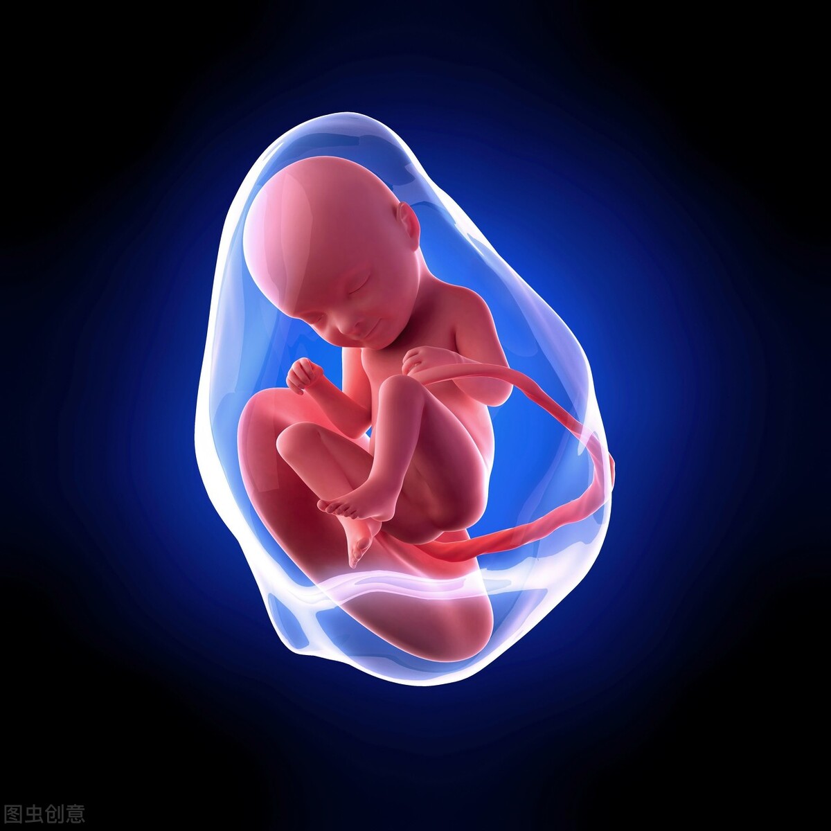 Four-dimensional color Doppler ultrasound is a lot of fun. Have you ...