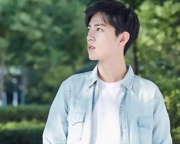 Wang Hailin's Weibo style changed suddenly, publicly admiring Xiao Zhan, and finally shook hands ...