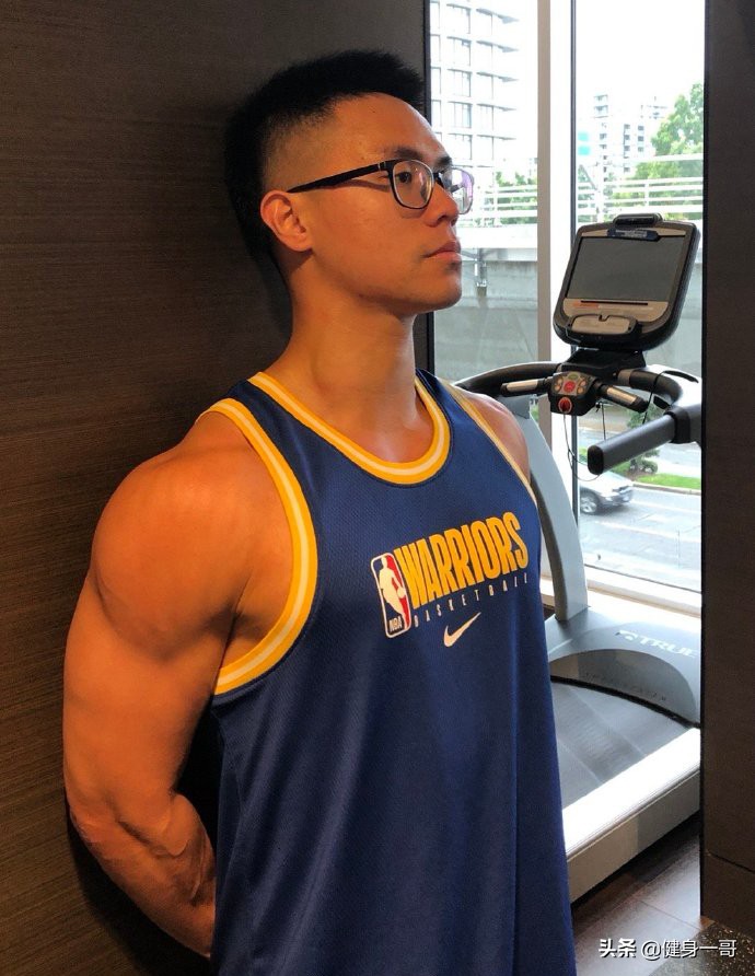 Corgi's legs are strong and powerful, and the trapezius muscles are ...