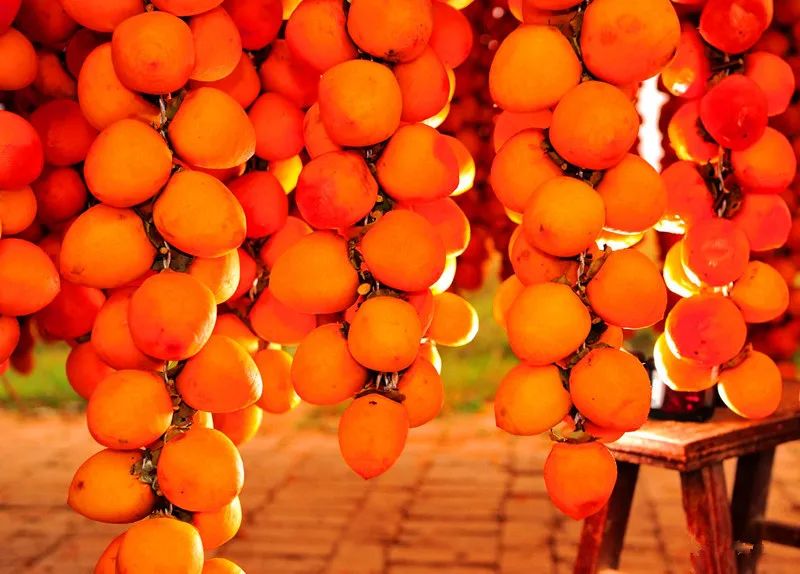 Childhood memories of the post-80s editor: Fuping dried persimmon "YYDS ...