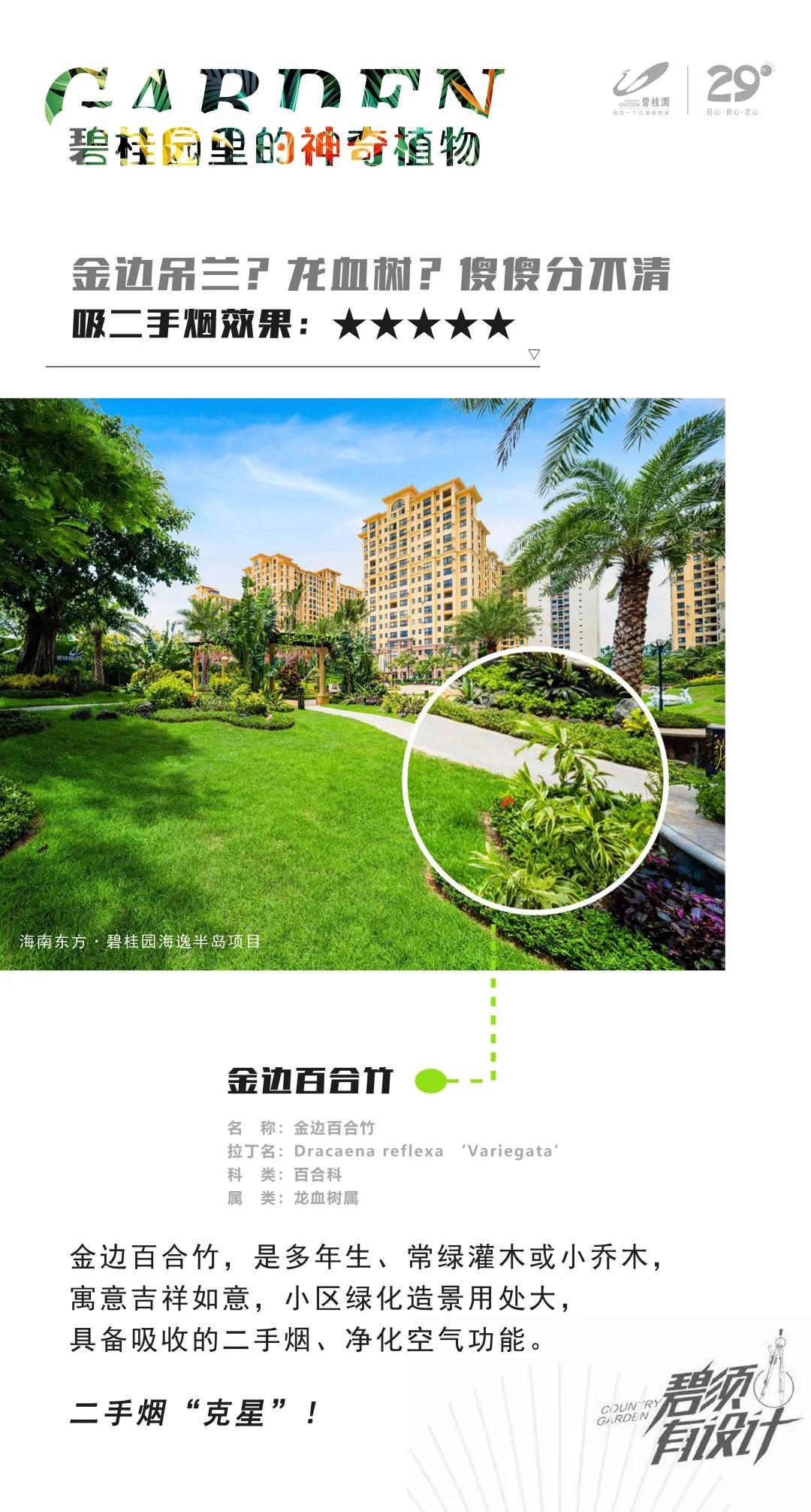 Looking at the magical plants in Country Garden, weird and strange ...