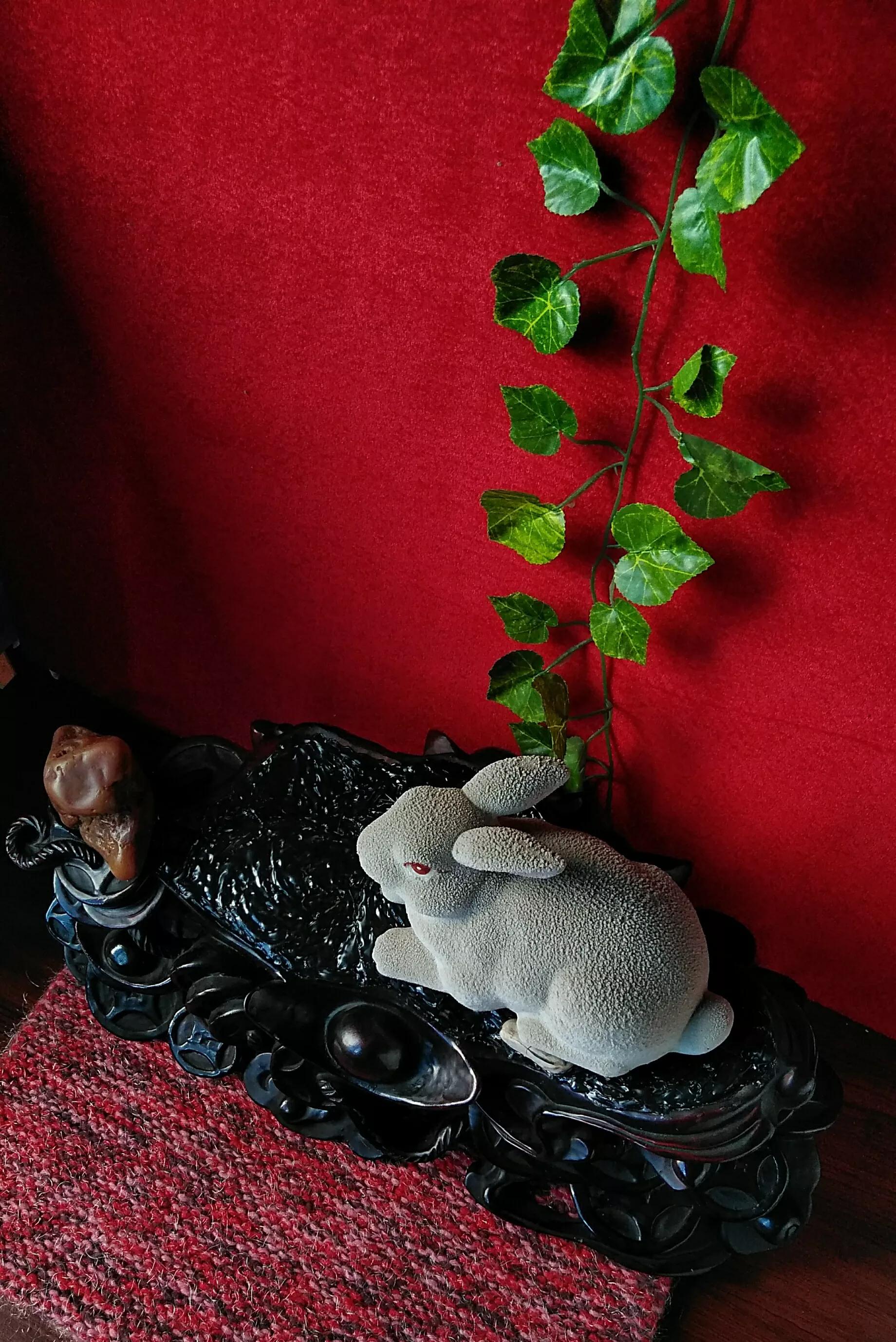 Yutu, Yuetu, Master Rabbit, Grandma Rabbit; which one is really the ...