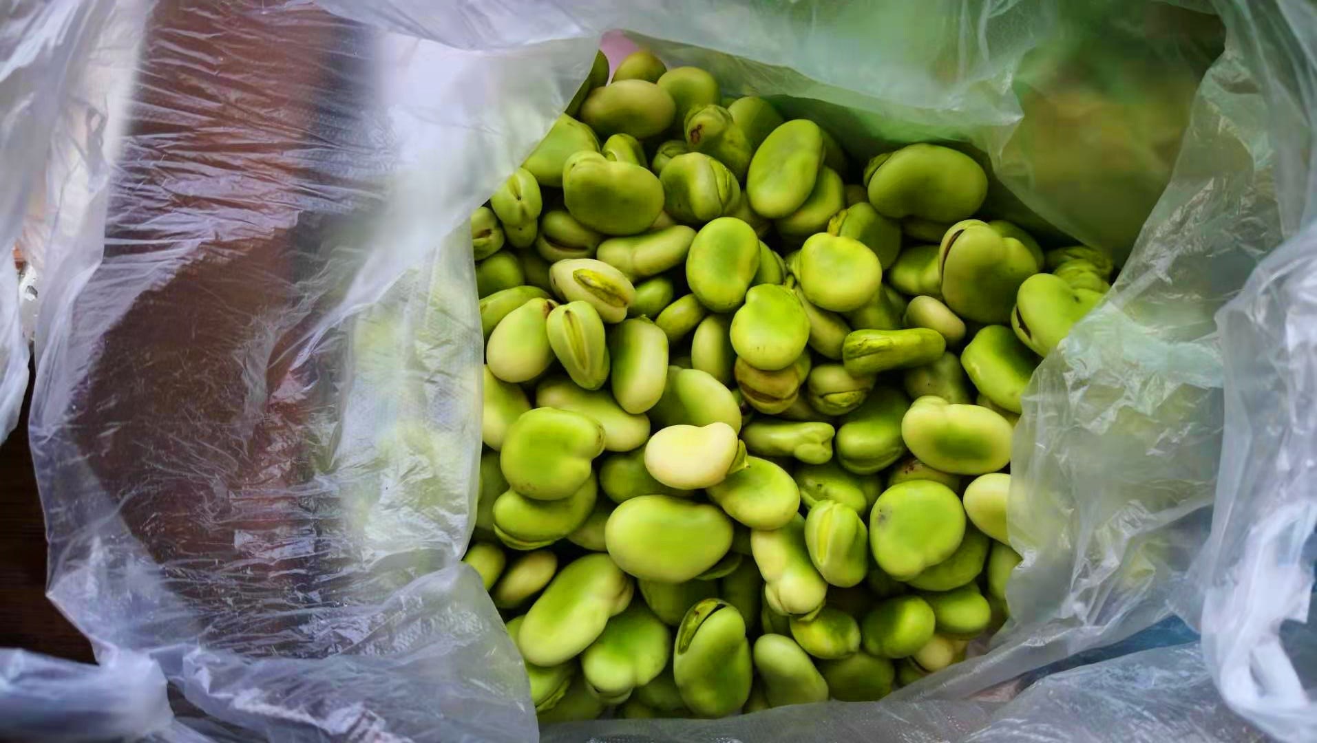 Fava beans that make people love and hate, they are tender and ...